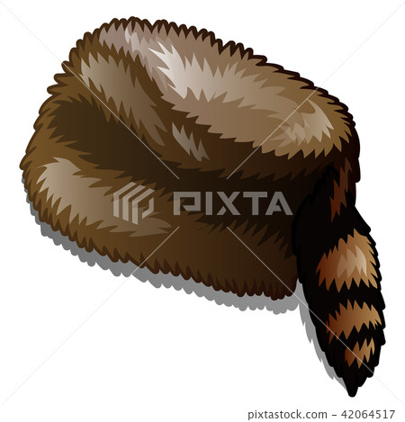 Pioneer Raccoon Hat Clipart