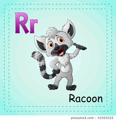 Animals alphabet: R is for Raccoon - Stock Illustration [42083028] - PIXTA