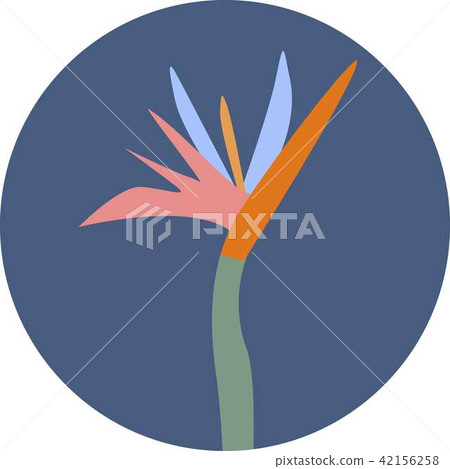 Icon of colorful strelizia vector illustration - Stock Illustration ...