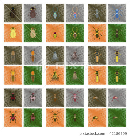 insect honey wasp soldier bug ant Araneus bee fly - Stock Illustration ...