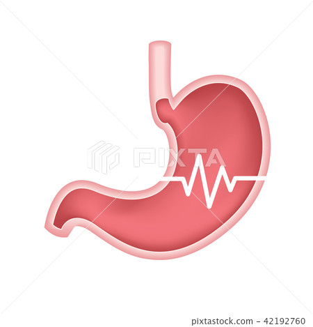 Human stomach pulse. - Stock Illustration [42192760] - PIXTA