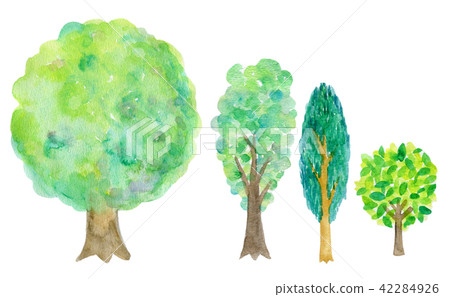 Watercolor illustration tree grove - Stock Illustration [42284926] - PIXTA