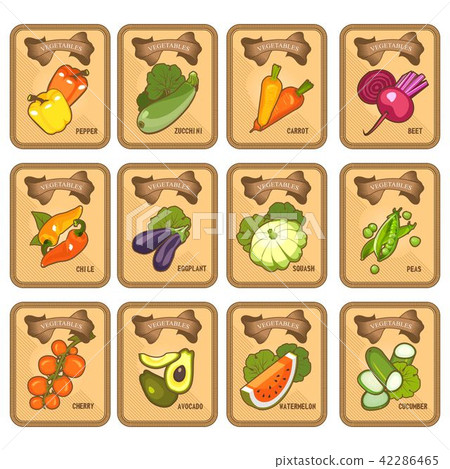 vegetables card set - Stock Illustration [42286465] - PIXTA