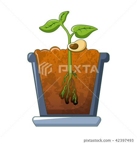 Bean plant growing icon, cartoon style - Stock Illustration [42397493 ...