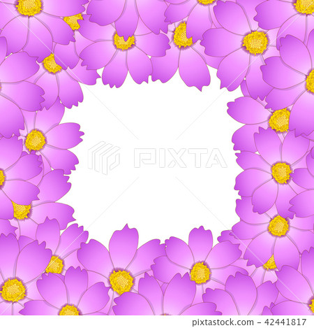 Pink Cosmos Flower Border - Stock Illustration [42441817] - PIXTA