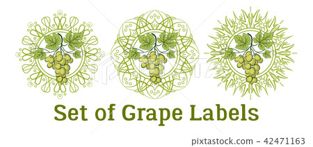 Set of Grape Labels - Stock Illustration [42471163] - PIXTA
