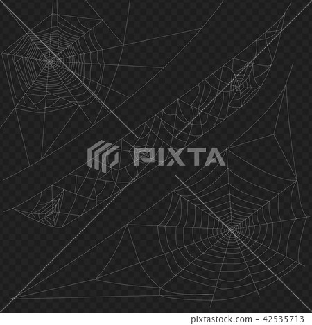 Set of round and straight spider cobweb - Stock Illustration [42535713 ...