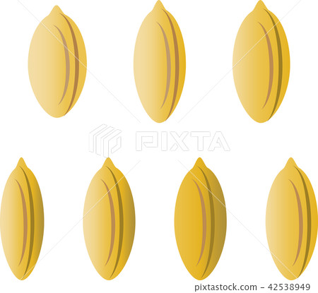 Chaff - Stock Illustration [42538949] - PIXTA