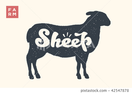 Sheep. Lettering, typography - Stock Illustration [42547878] - PIXTA
