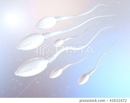 sperm cells moving to the right towards egg cell - Stock Illustration ...