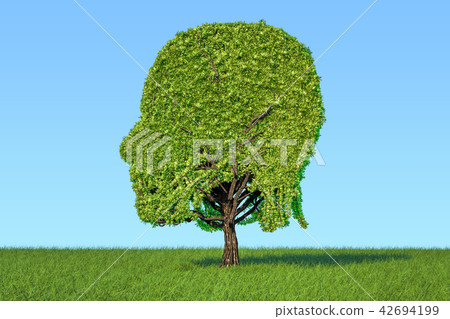 Human head shaped tree on the green grass - Stock Illustration ...
