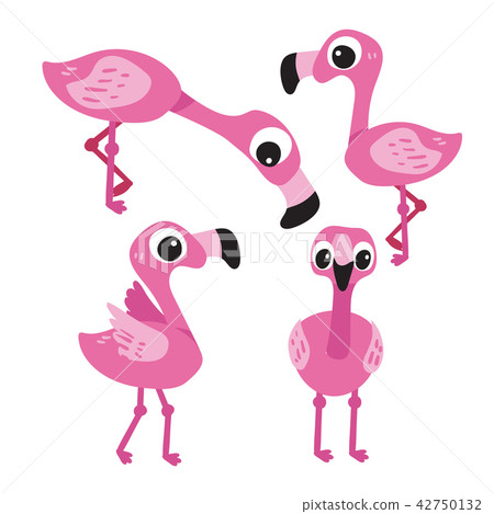 flamingo character collection design-插圖素材 [42750132] - PIXTA圖庫