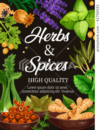 Premium quality herbs and spices seasonings poster-插圖素材 [42766081 ...