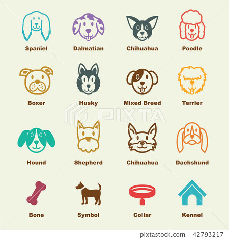 dog elements-插圖素材 [42793217] - PIXTA圖庫