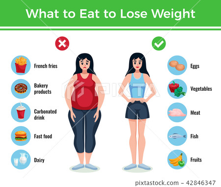 Diet Infographics Layout - Stock Illustration [42846347] - PIXTA