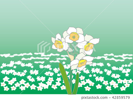 Sumire flower garden - Stock Illustration [42859579] - PIXTA