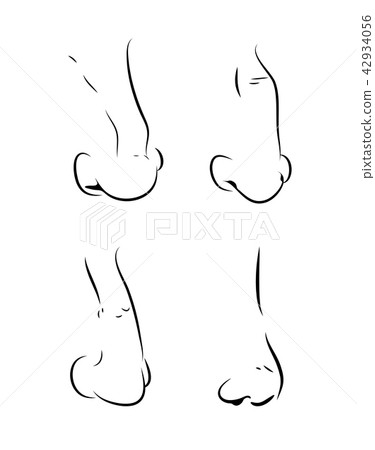 human nose outline design isolated on white - Stock Illustration ...