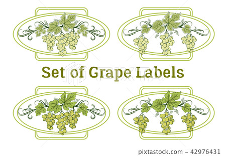 Set of Grape Labels - Stock Illustration [42976431] - PIXTA