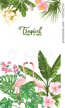 poster with tropical plants and flamingo - Stock Illustration [43018259 ...