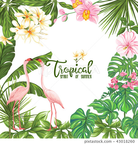 poster with tropical plants and flamingo - Stock Illustration [43018260 ...