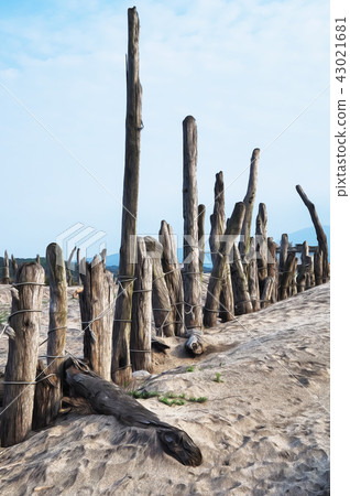 Beach timber - Stock Illustration [43021681] - PIXTA