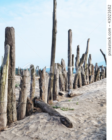 Beach timber - Stock Illustration [43021682] - PIXTA