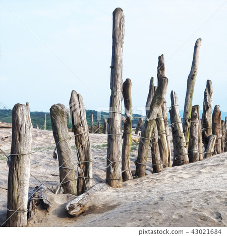 Beach timber - Stock Illustration [43021684] - PIXTA