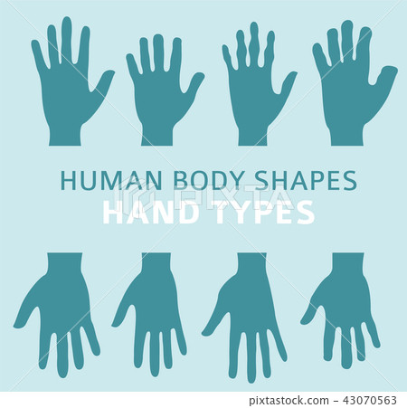 Human body shapes. Hand types icon set - Stock Illustration [43070563 ...