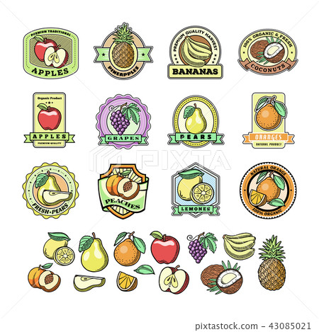 Fruit badge templates labels with sample text... - Stock Illustration ...