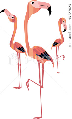 Three flamingos - Stock Illustration [43127023] - PIXTA