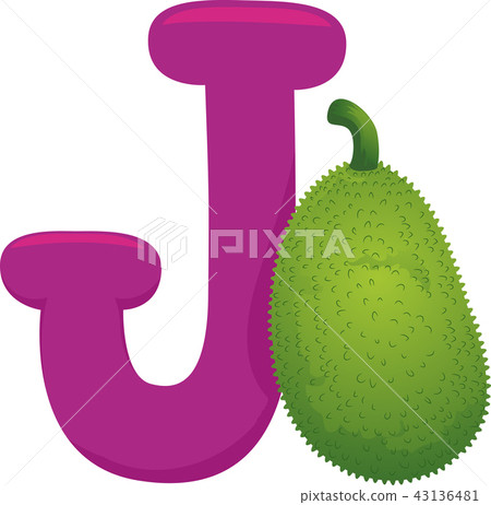 J for Jack Fruit Illustration-插圖素材 [43136481] - PIXTA圖庫