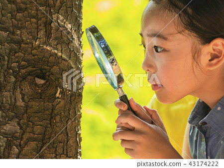 Children, Girls, Schoolgirl, Observation,... - Stock Photo [43174222 ...