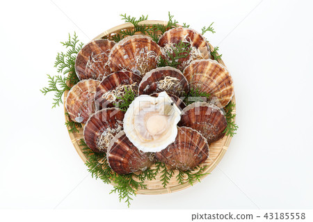 A scallop of scallops with scallops (Aomori... - Stock Photo [43185558 ...