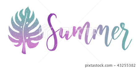 Summer handwritten calligraphy - Stock Illustration [43255382] - PIXTA