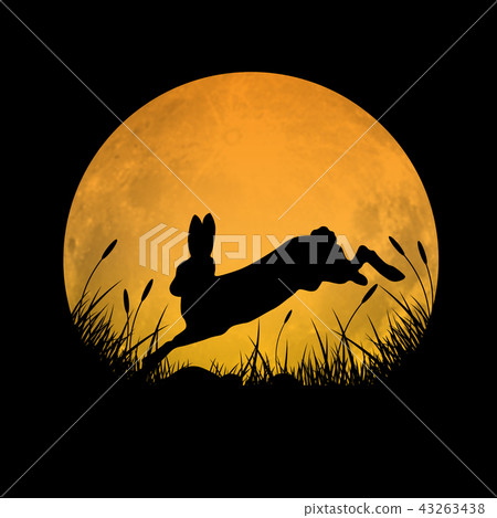 Rabbit jumping over grass field with full moon - Stock Illustration ...