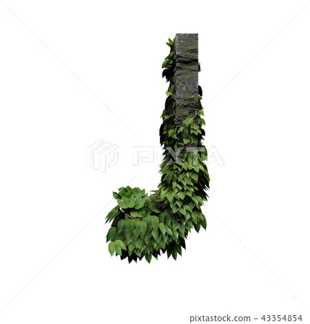 Stone foliage letter J - Stock Illustration [43354854] - PIXTA