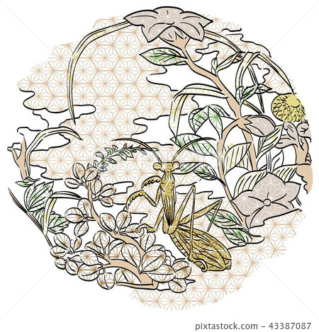 Hand drawn bug and nature vector with Japanese pat - Stock Illustration ...