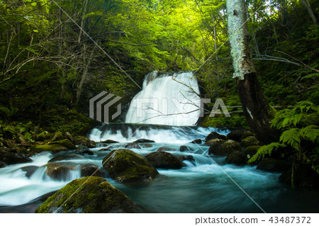 少女的瀑布 - Hoshioki--照片素材（圖片） [43487372] - PIXTA圖庫