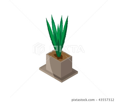 Isometric illustration of indoor plant in... - Stock Illustration ...