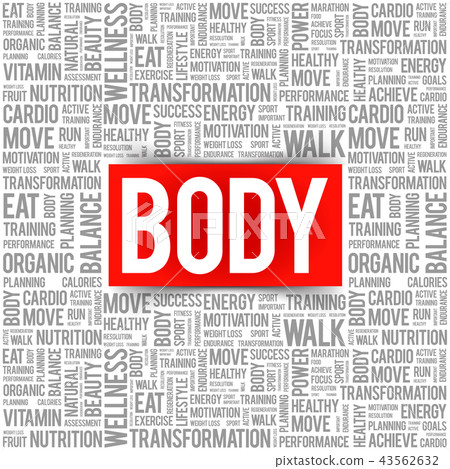 BODY word cloud collage - Stock Illustration [43562632] - PIXTA