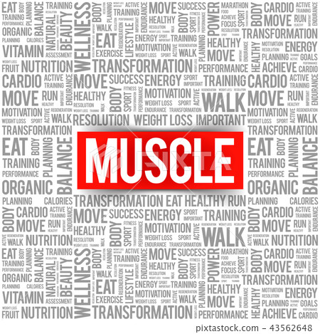 Muscle word cloud background - Stock Illustration [43562648] - PIXTA
