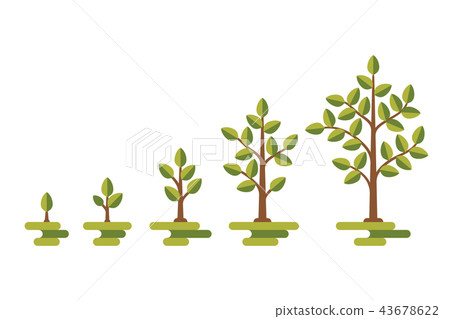 Green tree growth vector diagram - Stock Illustration [43678622] - PIXTA