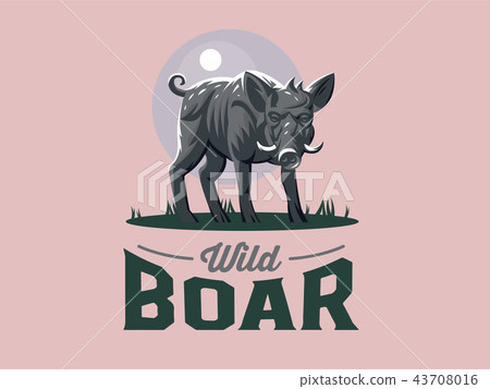 Razorback Boar Tusks