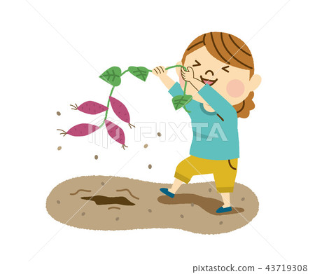 A woman digging potatoes - Stock Illustration [43719308] - PIXTA