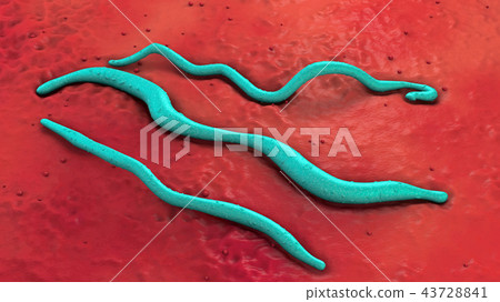 three blue colored lyme disease pathogens - Stock Illustration ...