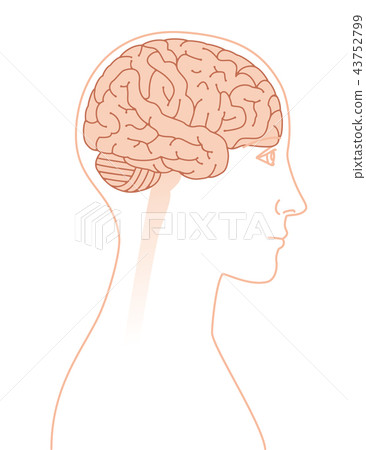 Image of landscape brain - Stock Illustration [43752799] - PIXTA
