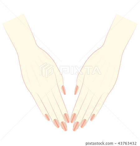 Body parts female hands - Stock Illustration [43763432] - PIXTA