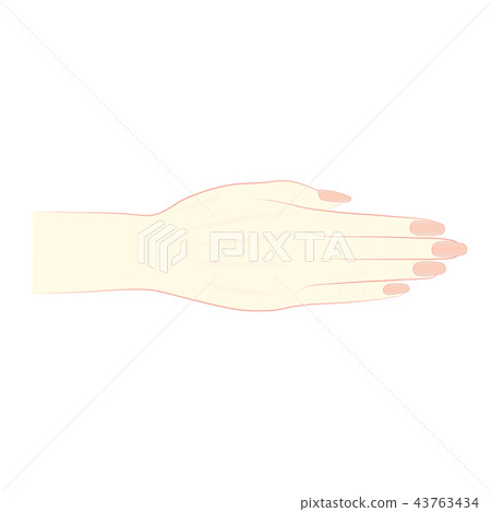 Body parts female hands - Stock Illustration [43763434] - PIXTA