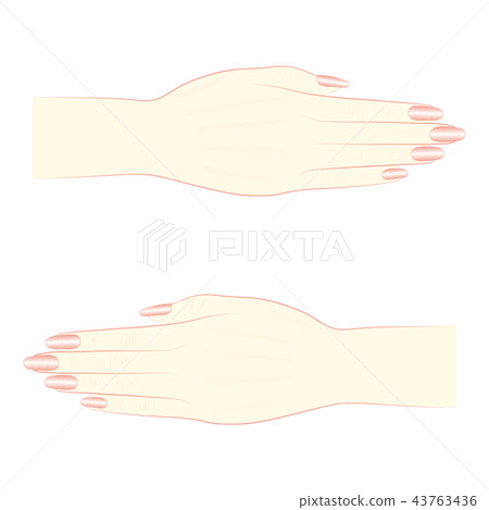Body parts female hands - Stock Illustration [43763436] - PIXTA