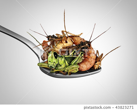 Eating Bugs - Stock Illustration [43823271] - PIXTA